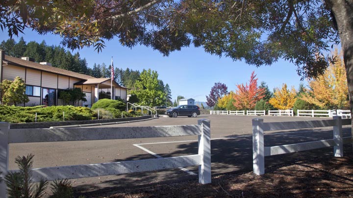 Welcome to Timber Valley Video Presentation | Timber Valley SKP Park of ...