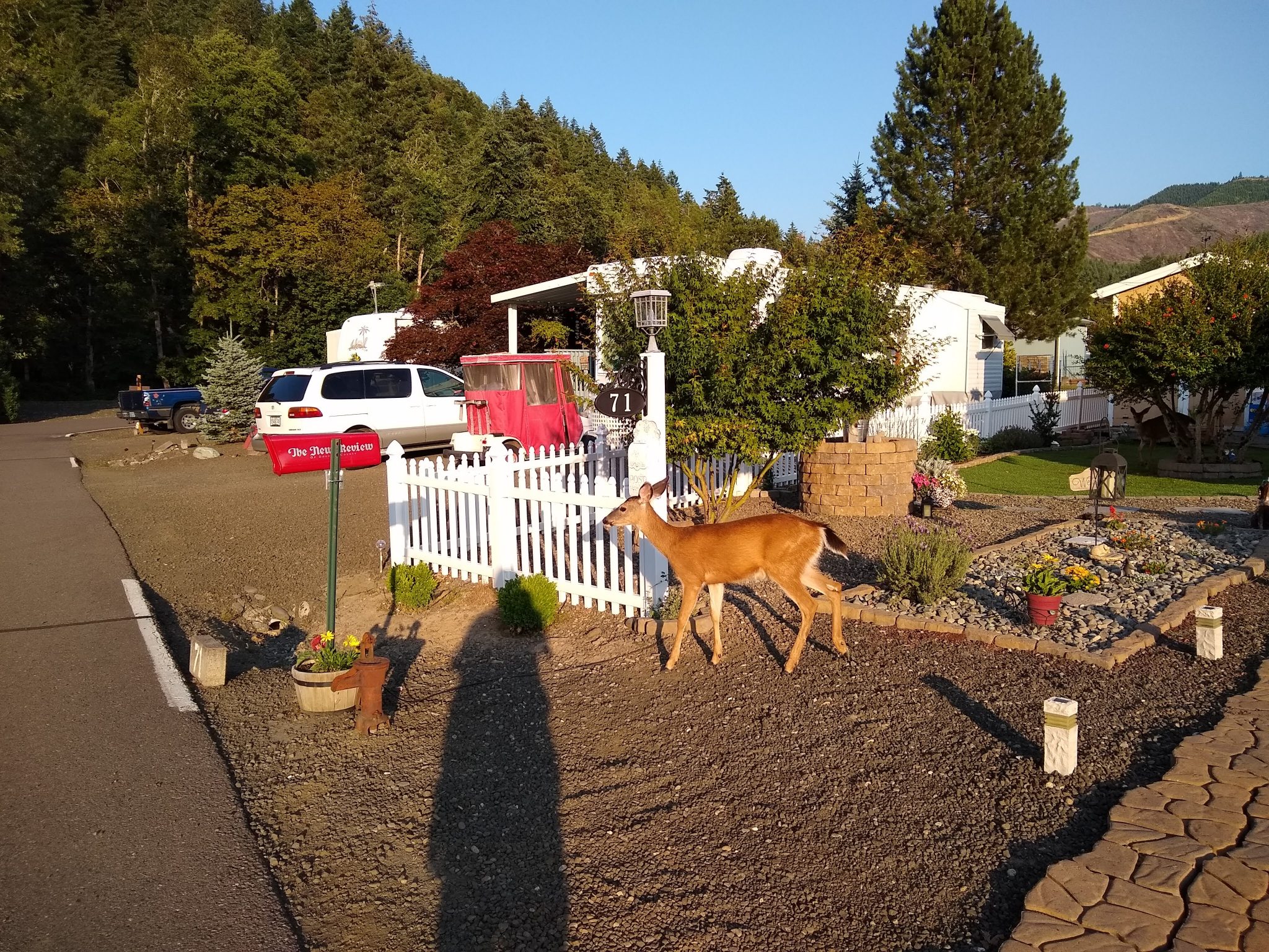 Header Photo Credits | Timber Valley SKP Park of Oregon, Inc