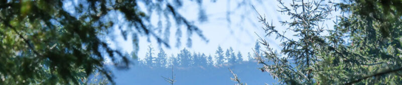 December 2025 Jacks & Jills Meeting Minutes | Timber Valley SKP Park of ...